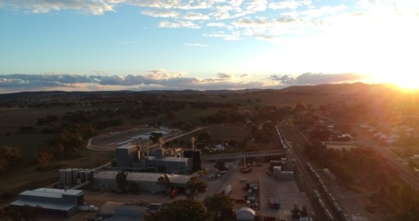 ABC Landline feature - MSM Milling