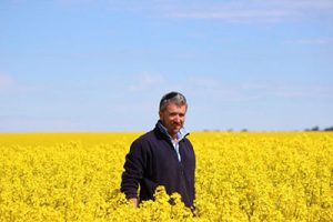 MSM Milling | Canola Oil, Canola Meal & Stockfeeds